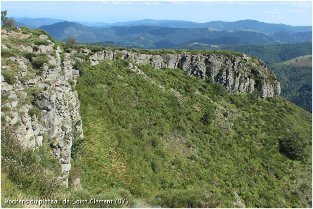 Flore des rochers et éboulis - Mézenc exceptionnel
